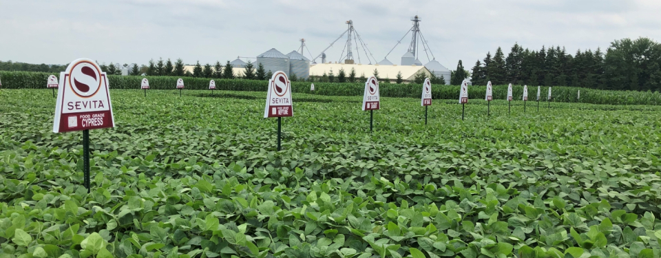 Sevita International :: About our Products