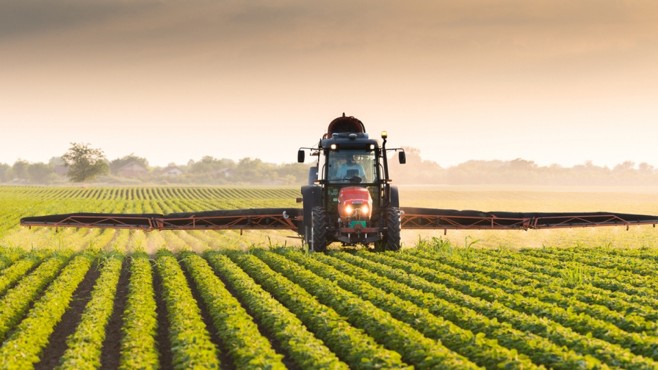 Sevita International :: Article :: Weed Control In Soybeans: Why and ...